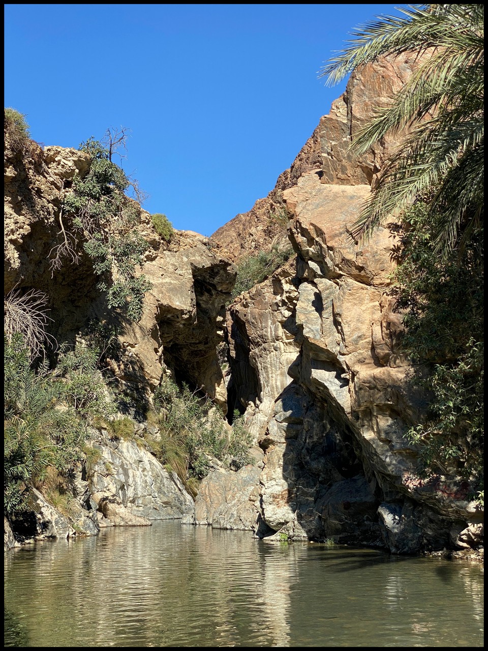 Discover Wadi Shees, enjoy lush greenery, nature trail