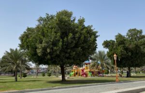 Kalba - explore fascinating nature reserves, lake, hiking..