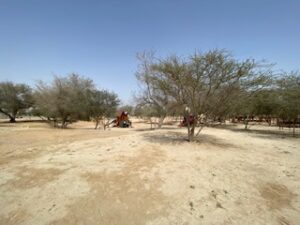 Kalba - explore fascinating nature reserves, lake, hiking..