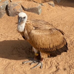 Kalba - explore fascinating nature reserves, lake, hiking..