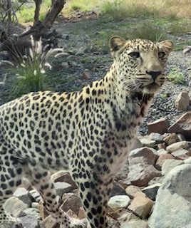 Kalba, explore fascinating nature reserves, lake, hiking '23