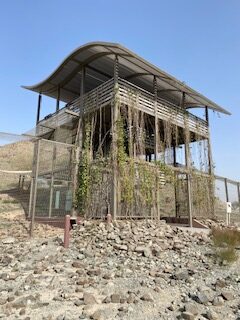 Kalba, explore fascinating nature reserves, lake, hiking '23