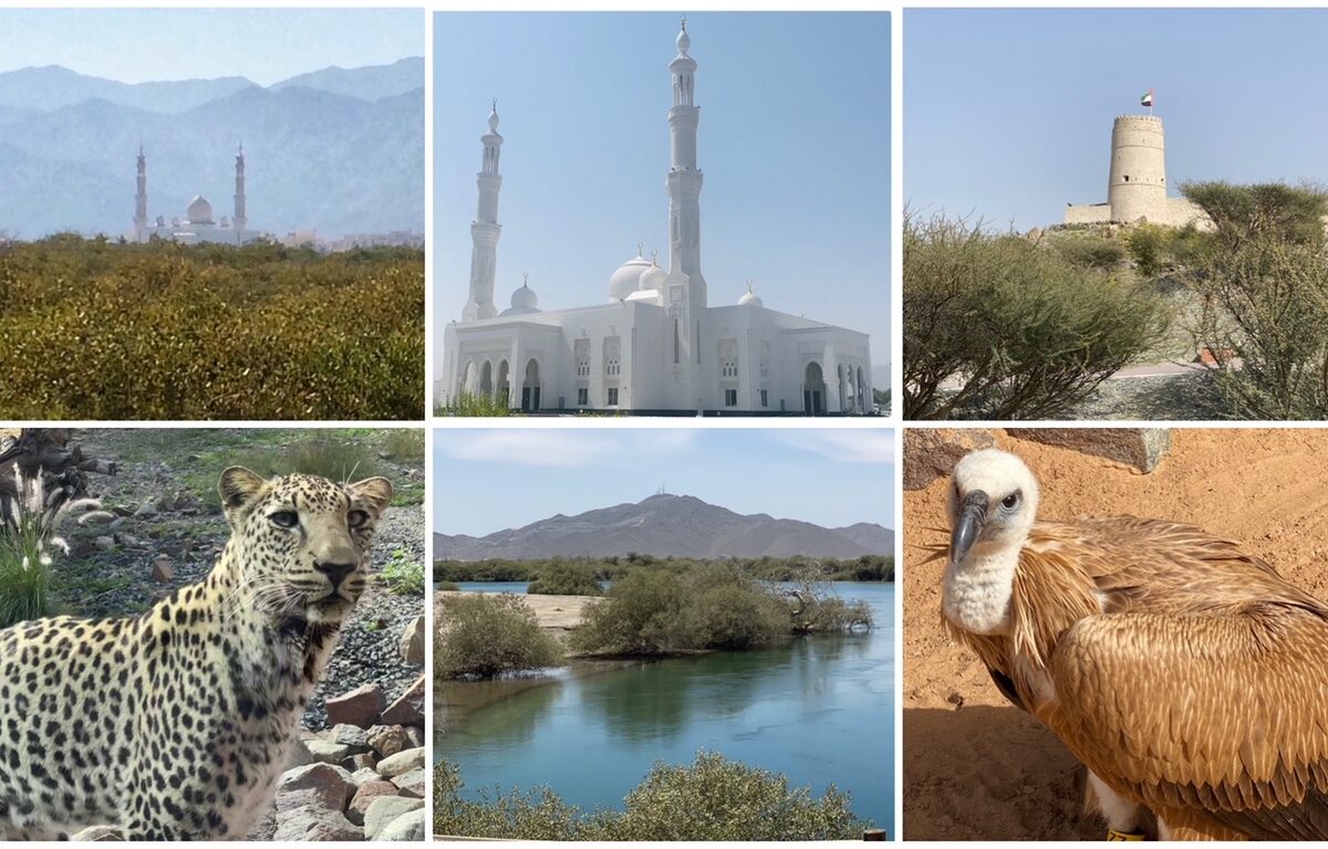 Kalba, explore fascinating nature reserves, lake, hiking '23