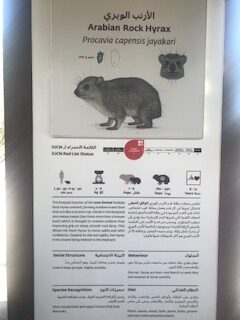 Kalba, explore fascinating nature reserves, lake, hiking '23