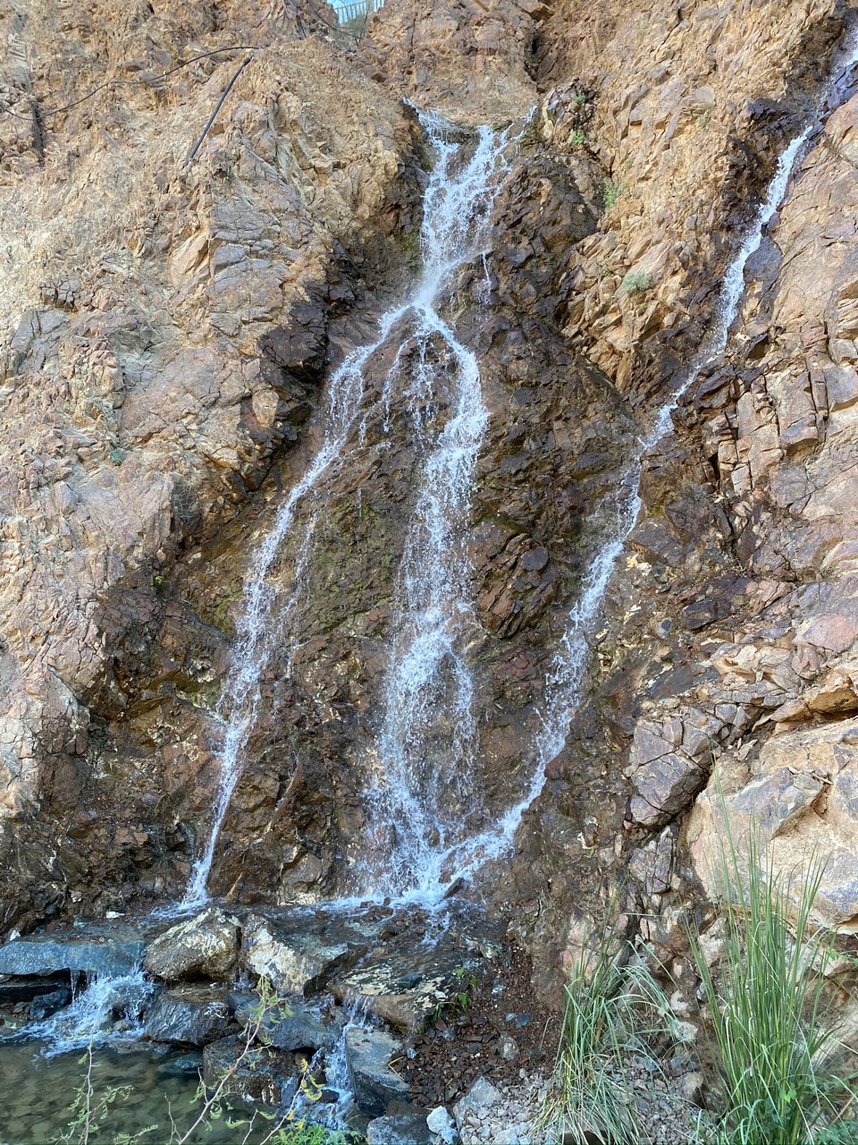Discover Wadi Shees, enjoy lush greenery, nature trail