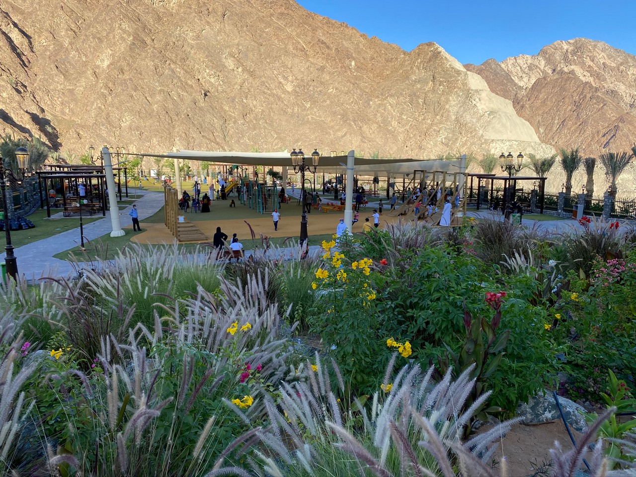 Discover Wadi Shees, enjoy lush greenery, nature trail