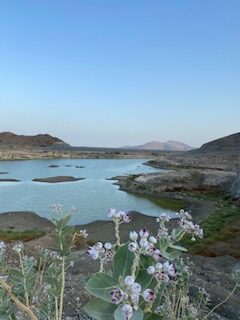 50 places to see in the UAE - Discover the stunning north!