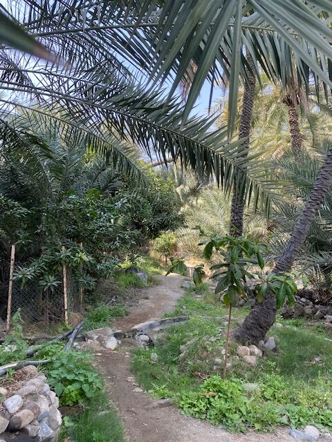 Madha Oman, discover quaint enclave, banyan trees, camping