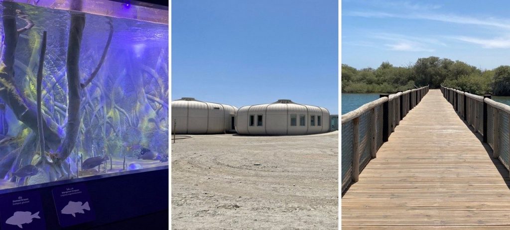 Khor Kalba Mangrove Centre - discover fascinating facts 2025