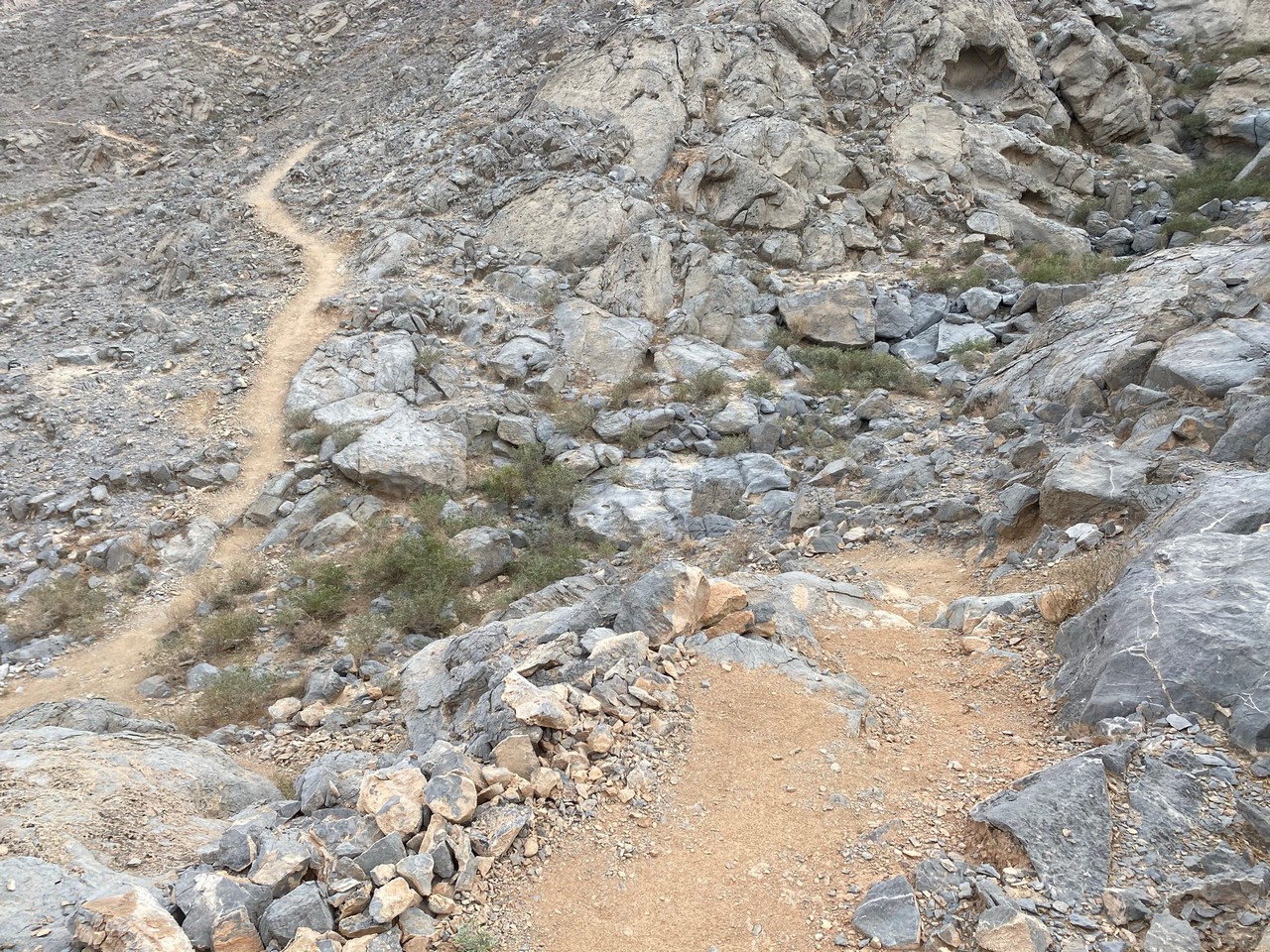 Jebel Jais Lower Trails - Glimpses of UAE