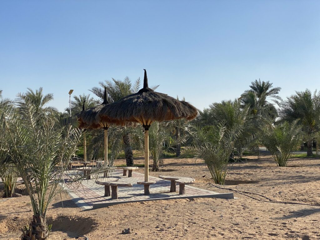 Discover Manama, UAE - forts, park, mountains, tranquility