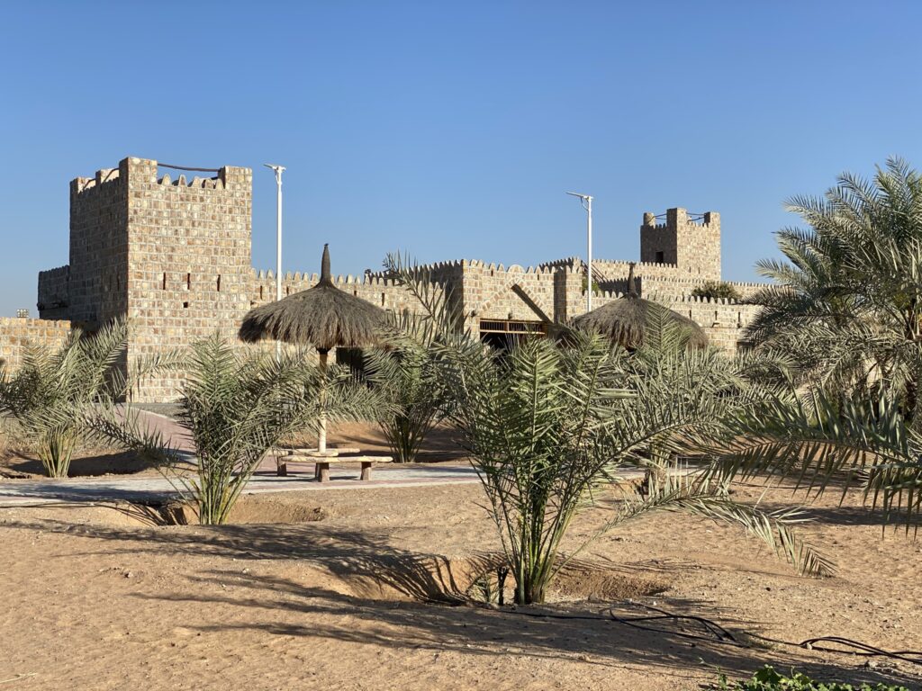 Discover Manama UAE forts, park, mountains, tranquillity '23