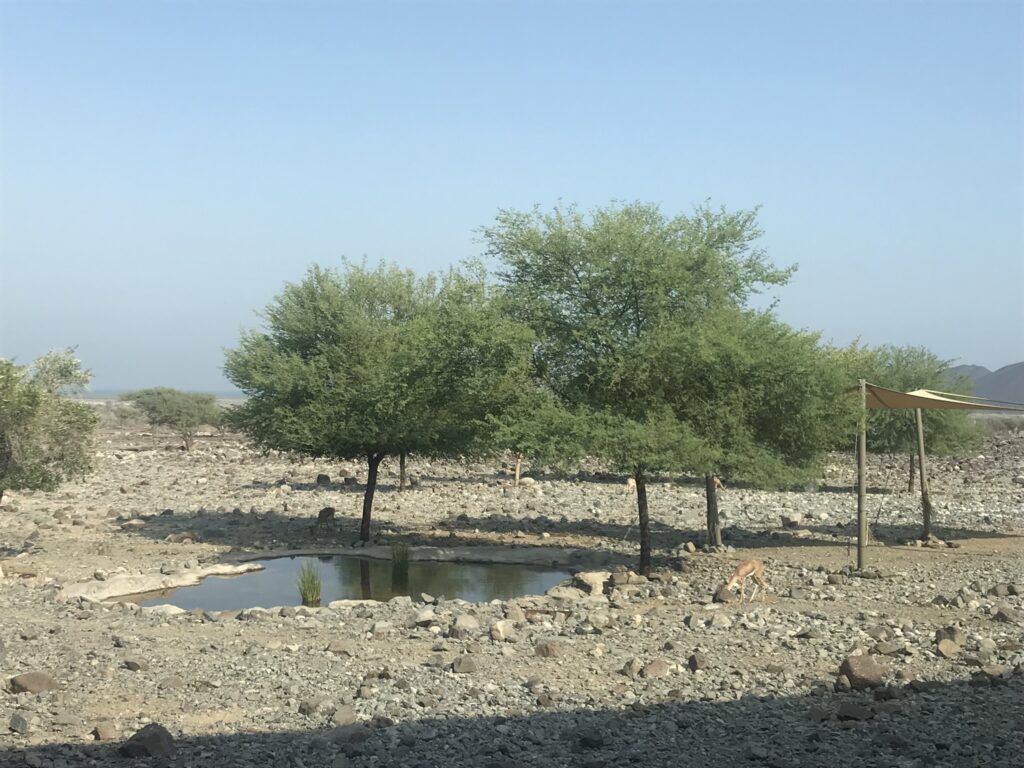Kalba Mountain Conservation Centre and Bird of Prey Centre