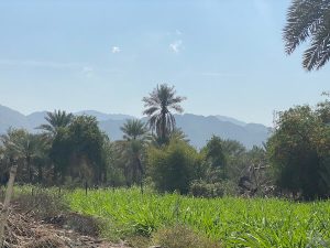 Madha Oman enclave explore, hike, banyan trees, camp 2024