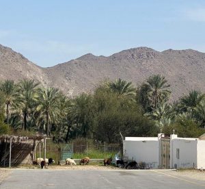 Madha Oman enclave explore, hike, banyan trees, camp 2024