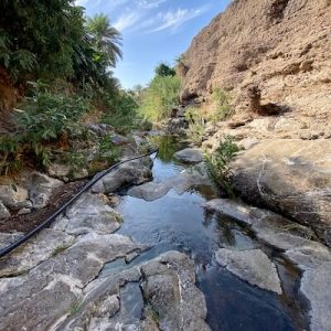 Hiking in the UAE - beginners to moderate, family fun 2023