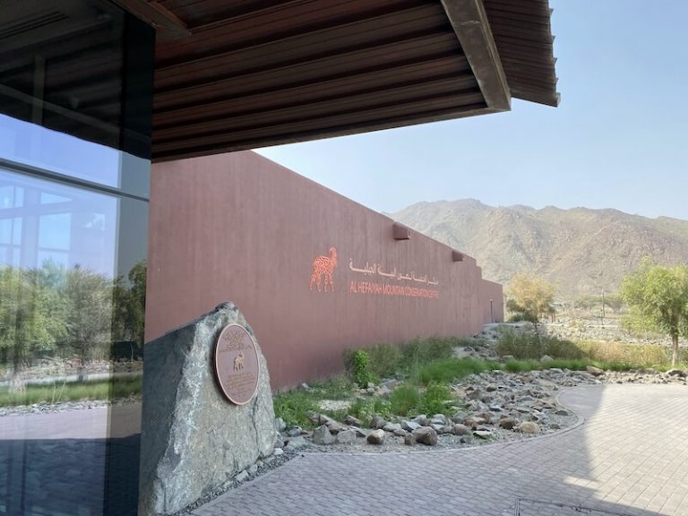 17 Best Things to Do in Kalba 2025 - explore, relax, learn