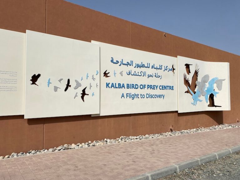 17 Best Things to Do in Kalba 2025 - explore, relax, learn