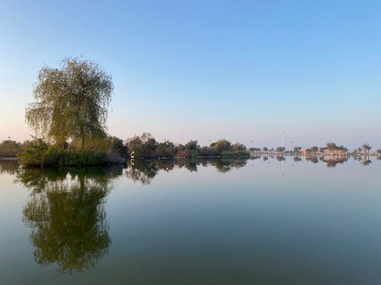 Al Wathba - discover lakes, amazing fossil dunes, festival 2025