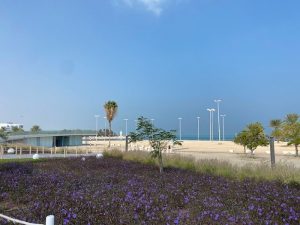 Al Mirfa, discover scenic coastal gem 2025