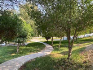 Al Mirfa, discover scenic coastal gem 2025