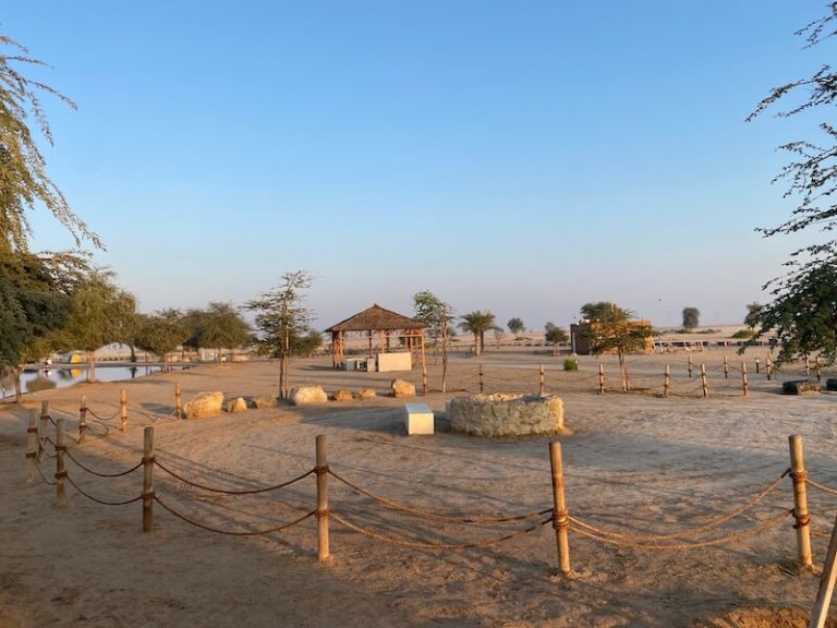 Al Wathba - discover lakes, amazing fossil dunes, festival 2025