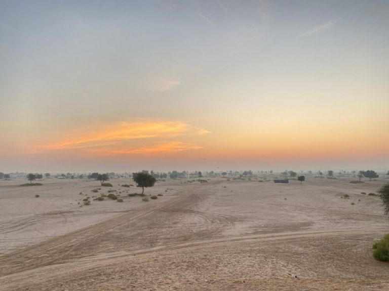 Al Wathba - discover lakes, amazing fossil dunes, festival 2025