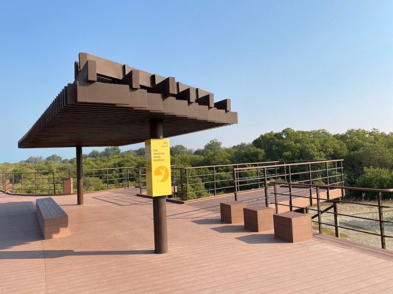 Al Mirfa, discover scenic coastal gem 2025