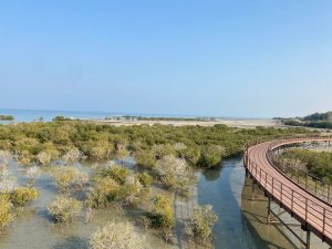 Al Mirfa, discover scenic coastal gem 2025