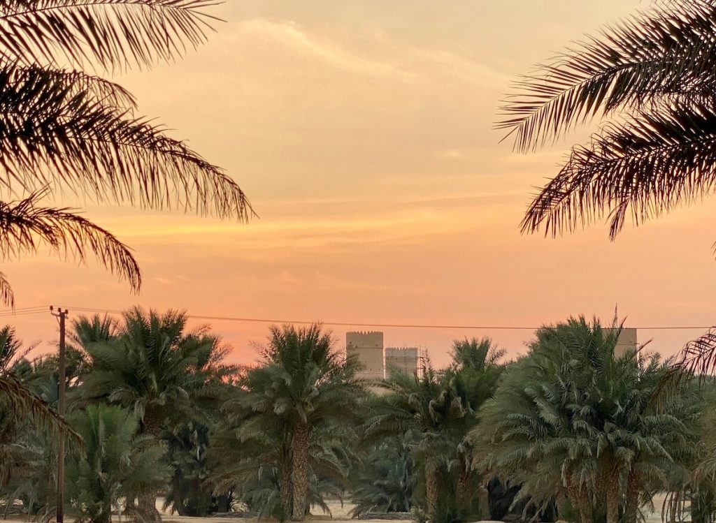 Discover Best Things to Do in Liwa Desert Abu Dhabi (2025)